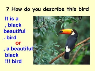 Adjective Order | PPT