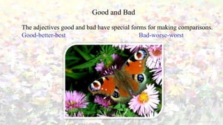 Adjective, Adverb, and Pronoun Rules and Guideline | PPTX