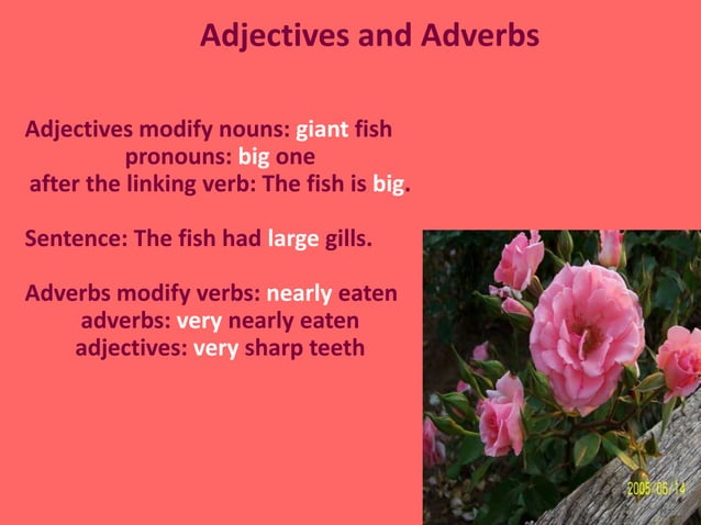 Adjective and adverbs | PPTX