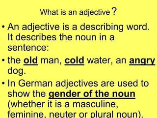 Adjective Endings Indefinite Articles Only | PPT