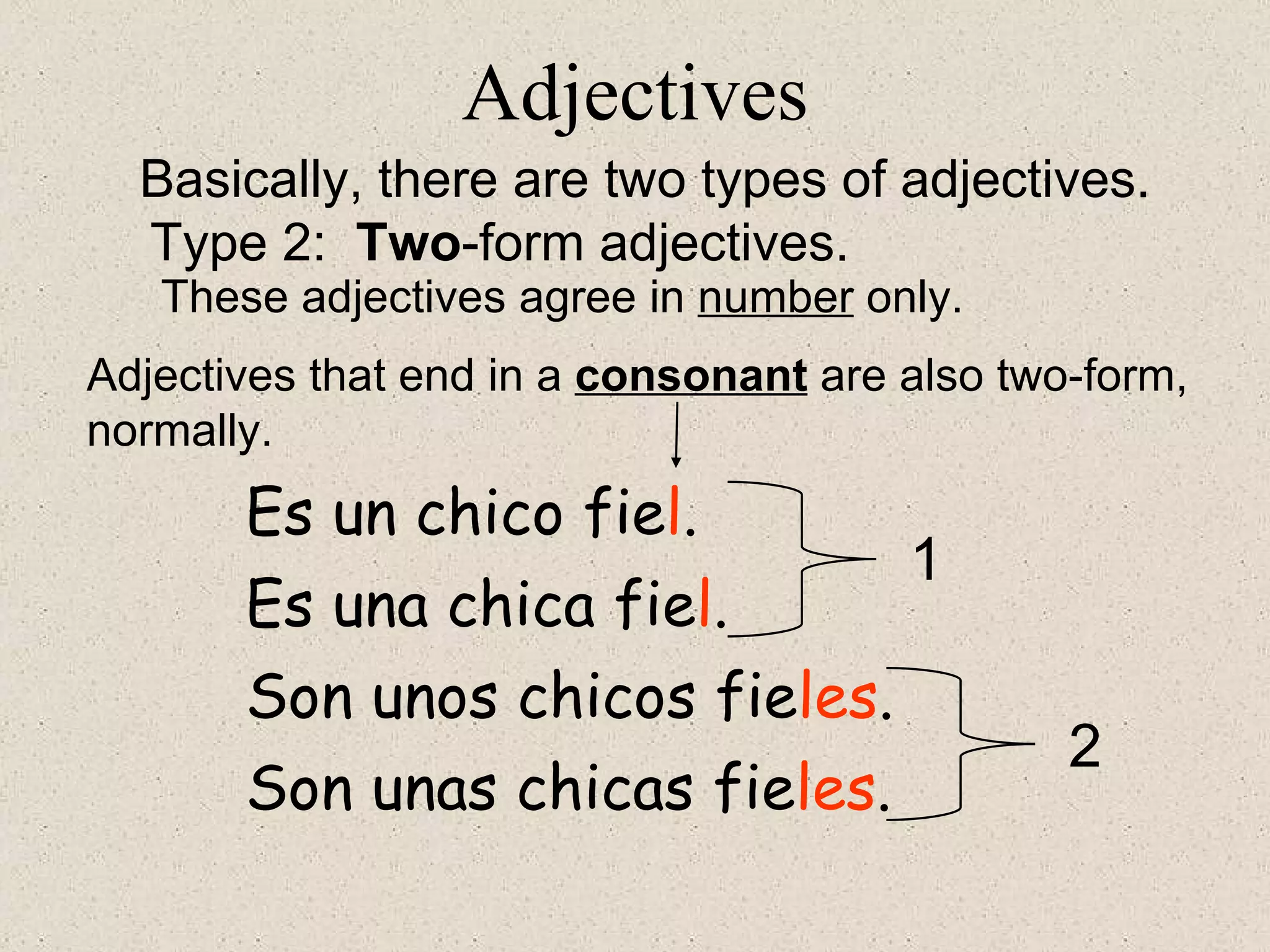 Adjective form, position, and agreement | PPT