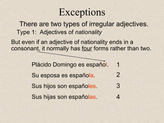 Adjective form, position, and agreement | PPT