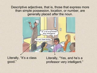 Adjective form, position, and agreement | PPT