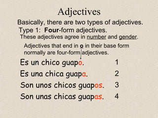 Adjective form, position, and agreement | PPT