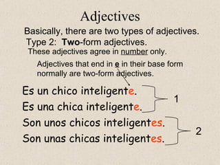 Adjective form, position, and agreement | PPT