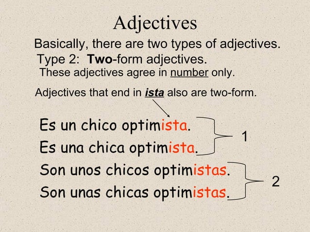 Adjective form, position, and agreement | PPT