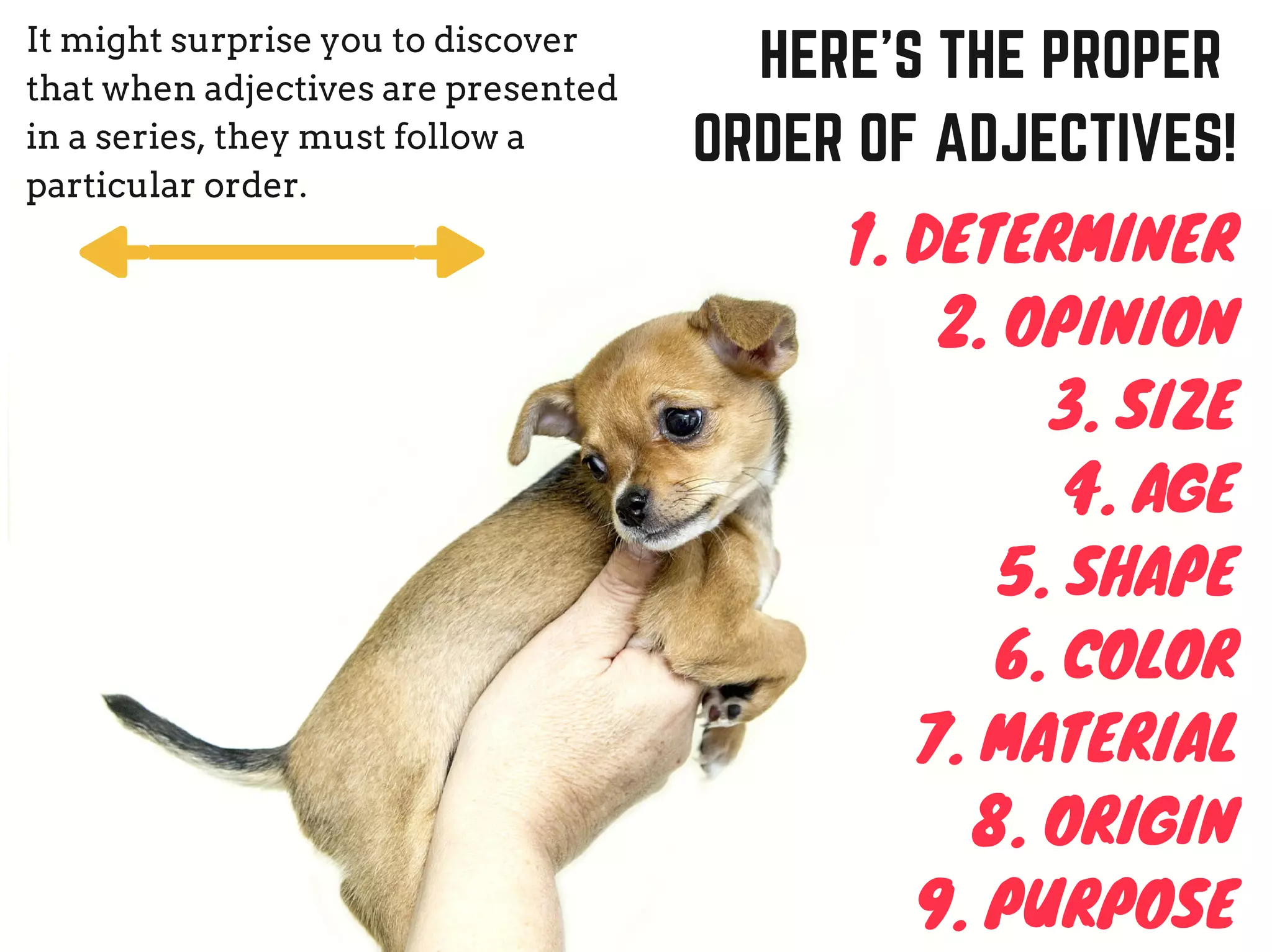 The Order of Adjectives: How to Construct a Sentence with Multiple ...