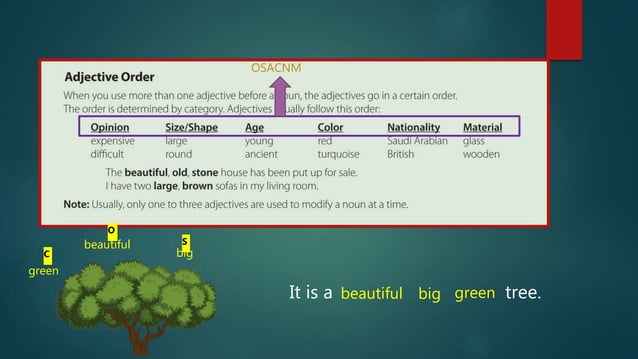Adjective order, too and enough | PPT