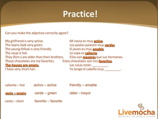 Spanish Adjectives | PPT