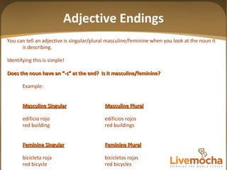 Spanish Adjectives | PPT