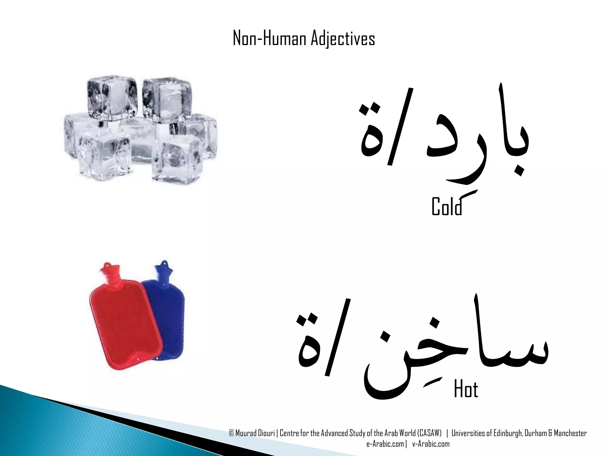 Arabic Vocabulary: Adjectives (Human & Non-Human) | PDF