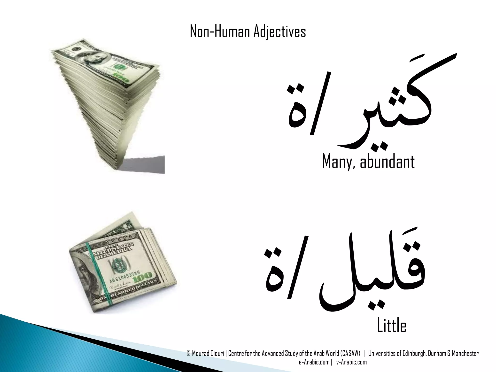 Arabic Vocabulary: Adjectives (Human & Non-Human) | PDF