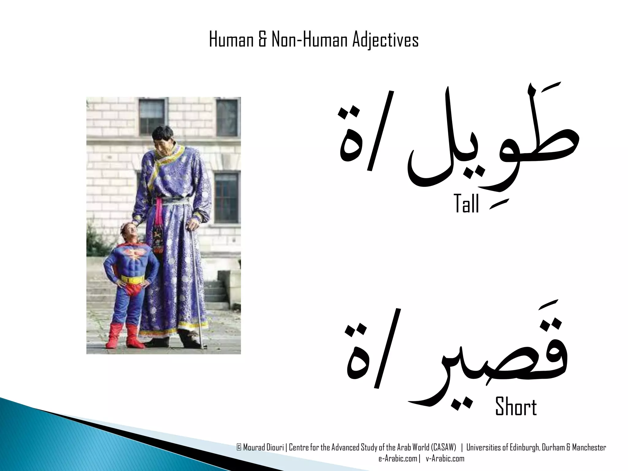 Arabic Vocabulary: Adjectives (Human & Non-Human) | PDF