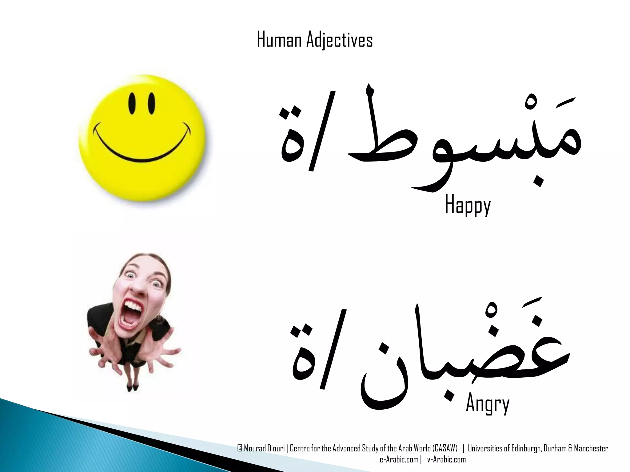 Arabic Vocabulary: Adjectives (Human & Non-Human) | PDF