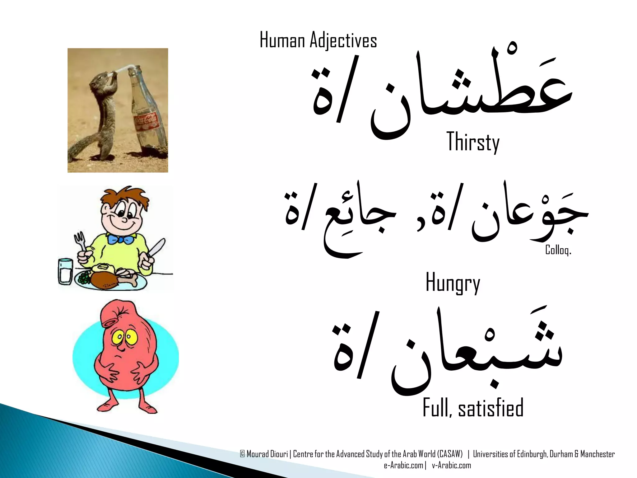 Arabic Vocabulary: Adjectives (Human & Non-Human) | PDF