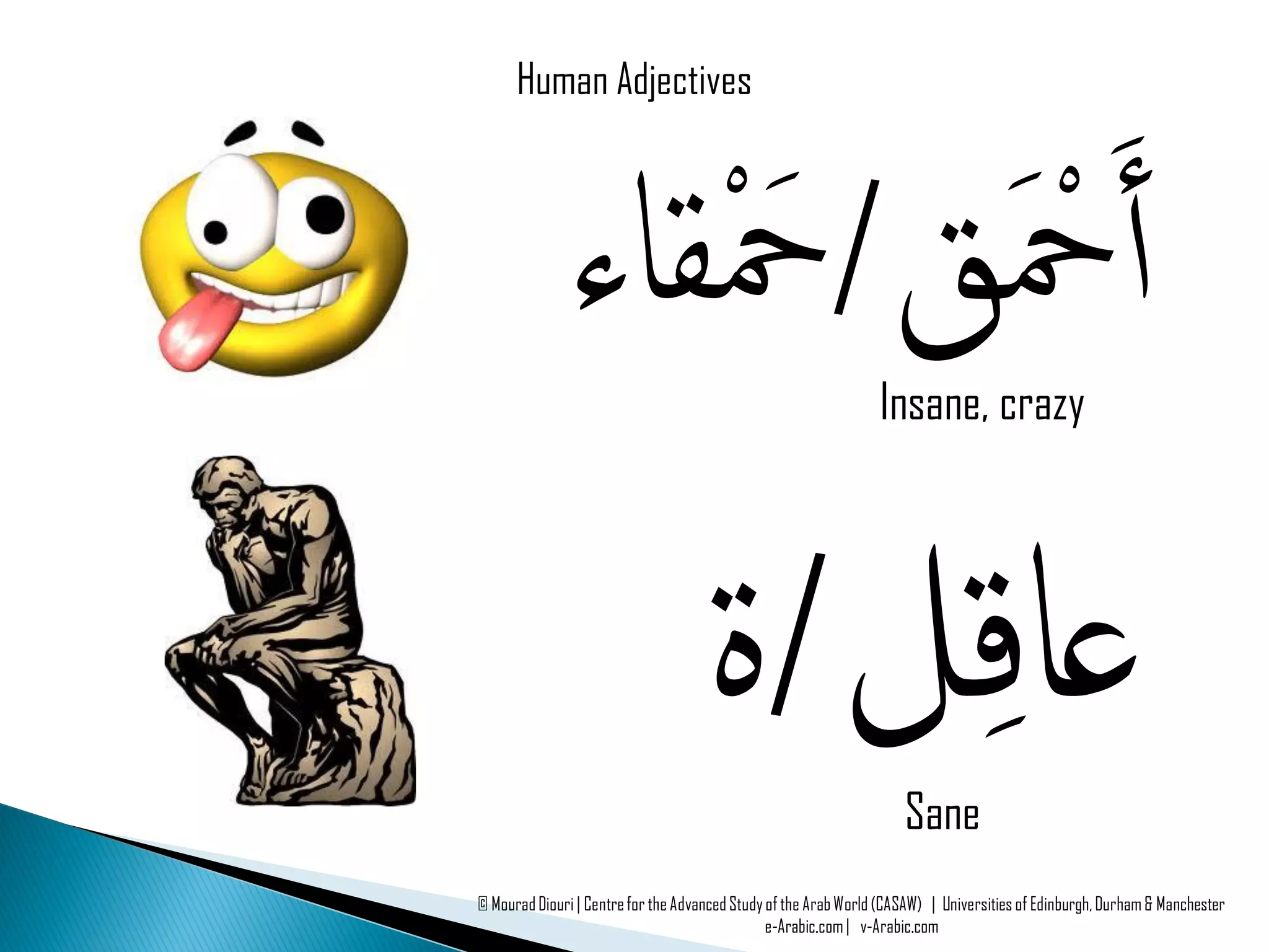 Arabic Vocabulary: Adjectives (Human & Non-Human) | PDF