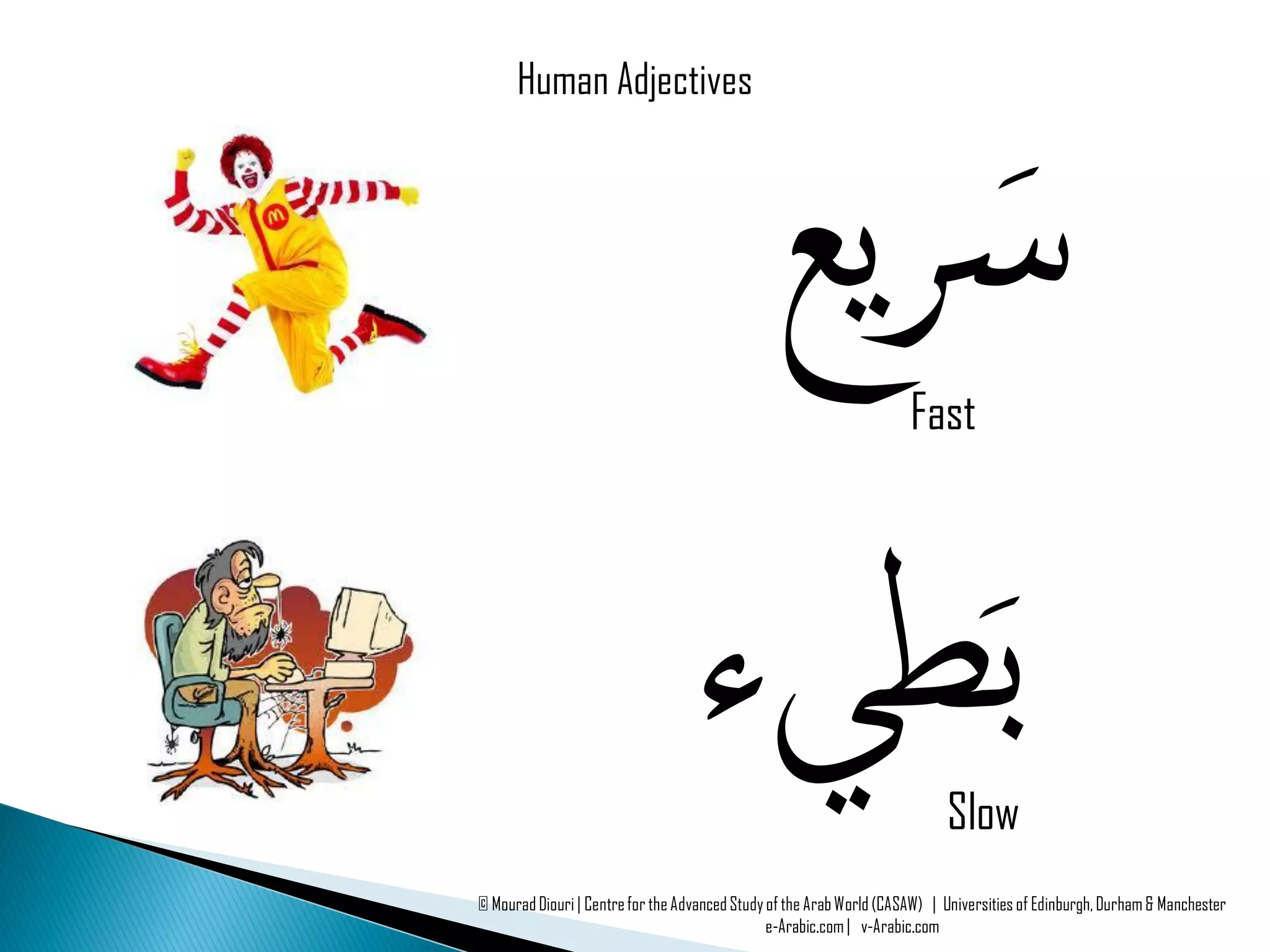 Arabic Vocabulary: Adjectives (Human & Non-Human) | PDF