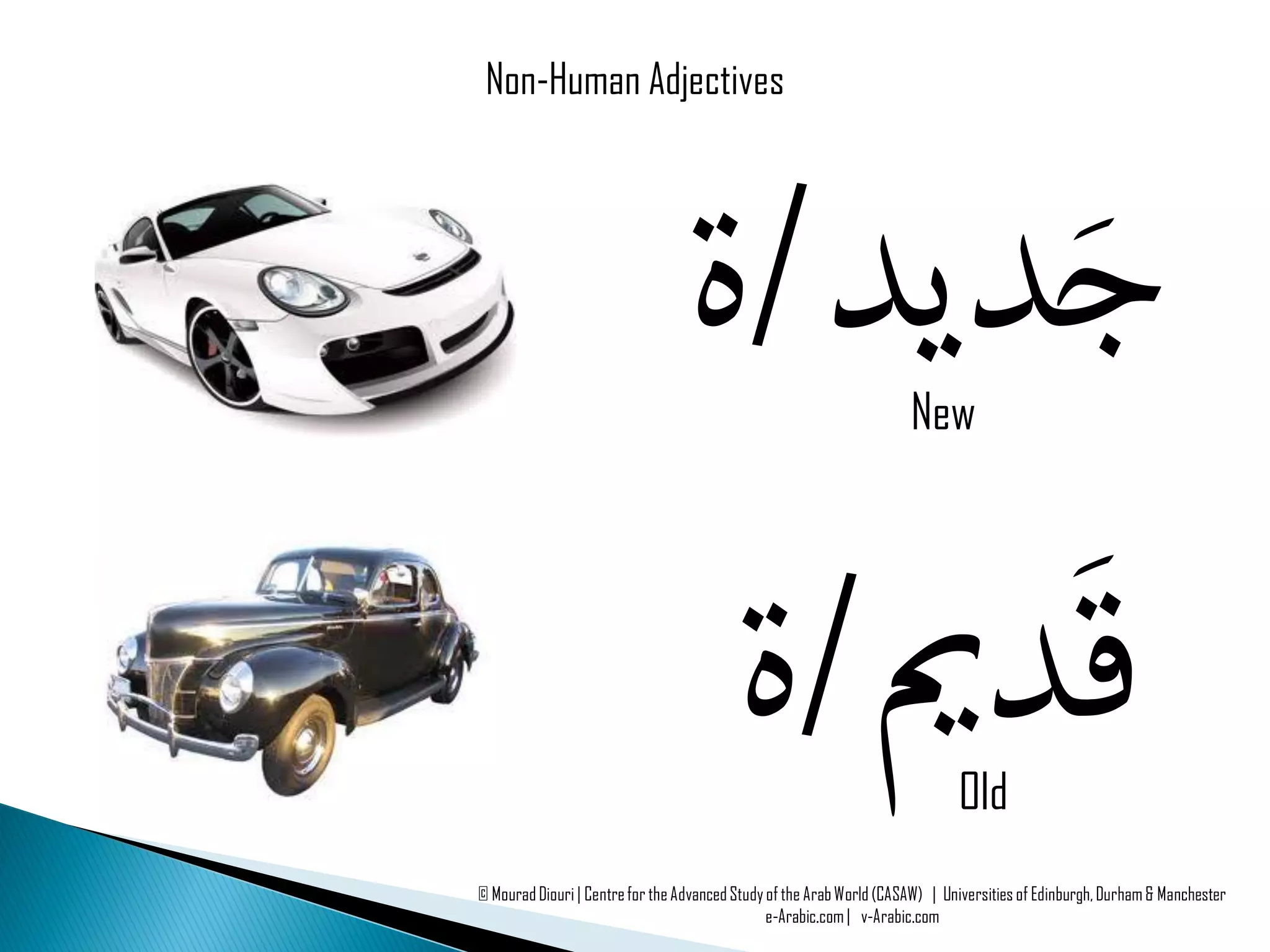 Arabic Vocabulary: Adjectives (Human & Non-Human) | PDF