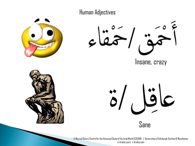 Arabic Vocabulary: Adjectives (Human & Non-Human) | PDF