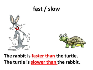 Adjectives | PPTX | Reptiles | Pets