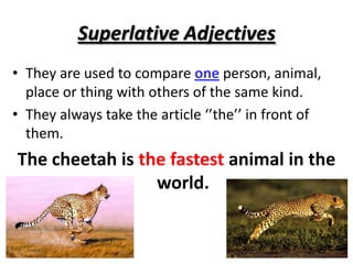 Adjectives | PPTX