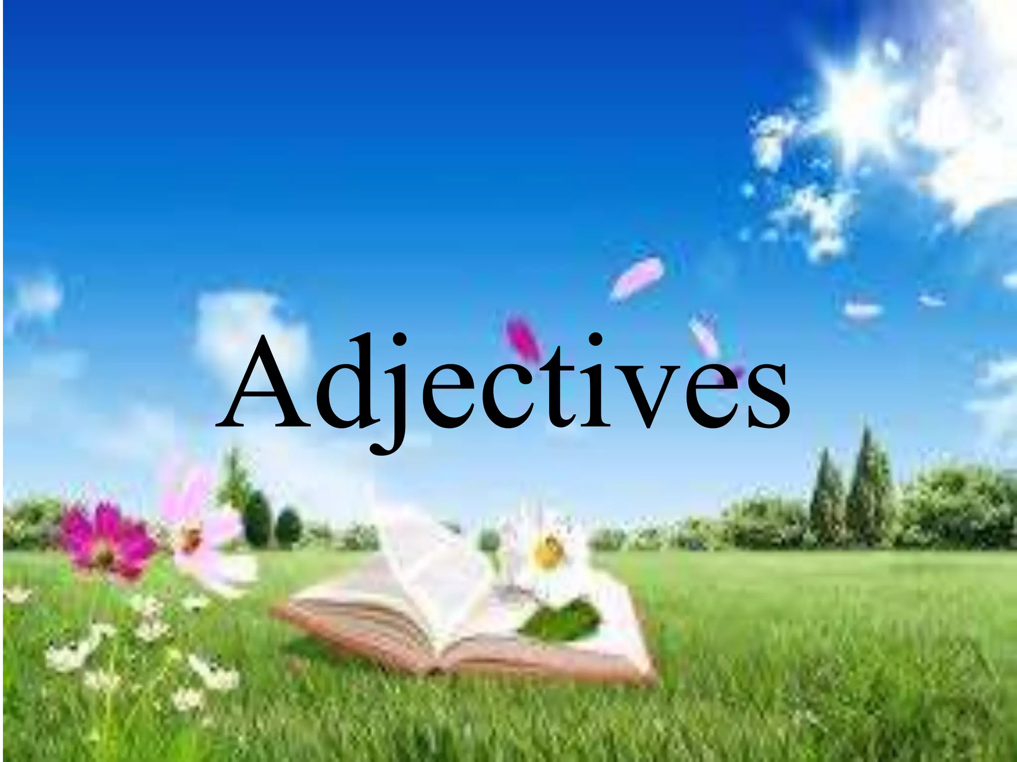 Adjectives | PPTX