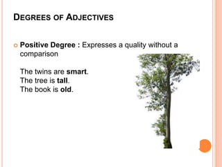 Adjectives | PPTX