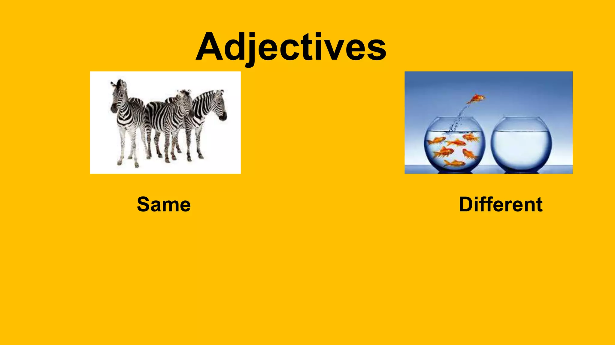 Adjectives | PPTX