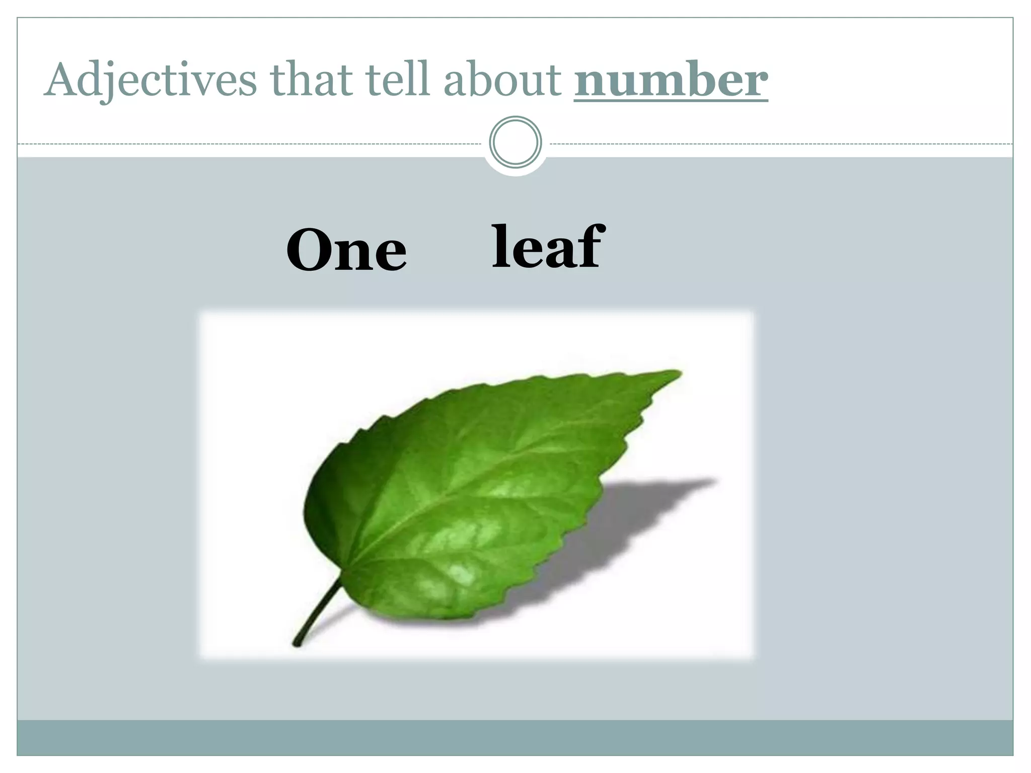 ADJECTIVES Lesson for Grade 2 students | PPTX