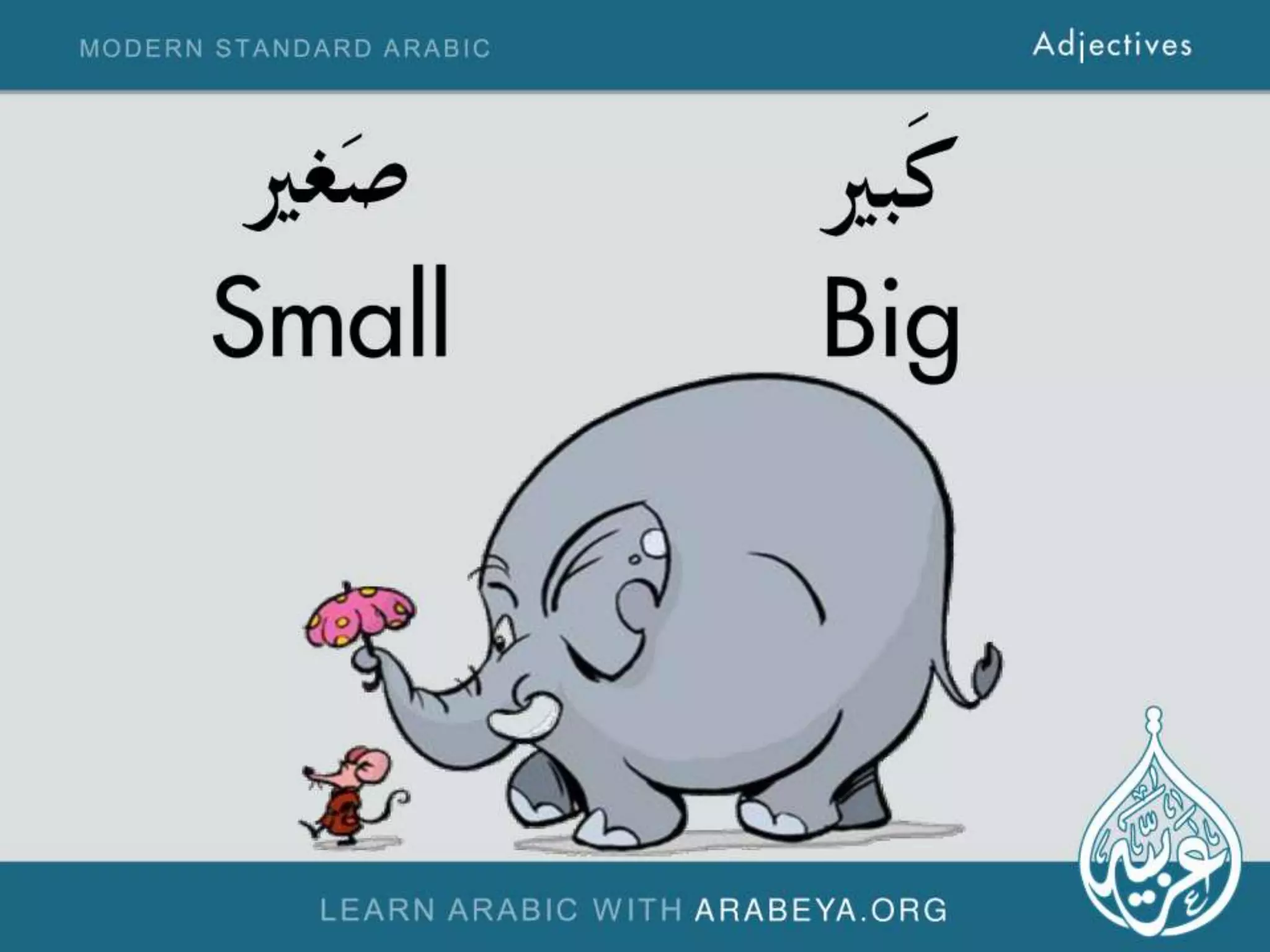 Adjectives in Modern Standard Arabic - | PPSX
