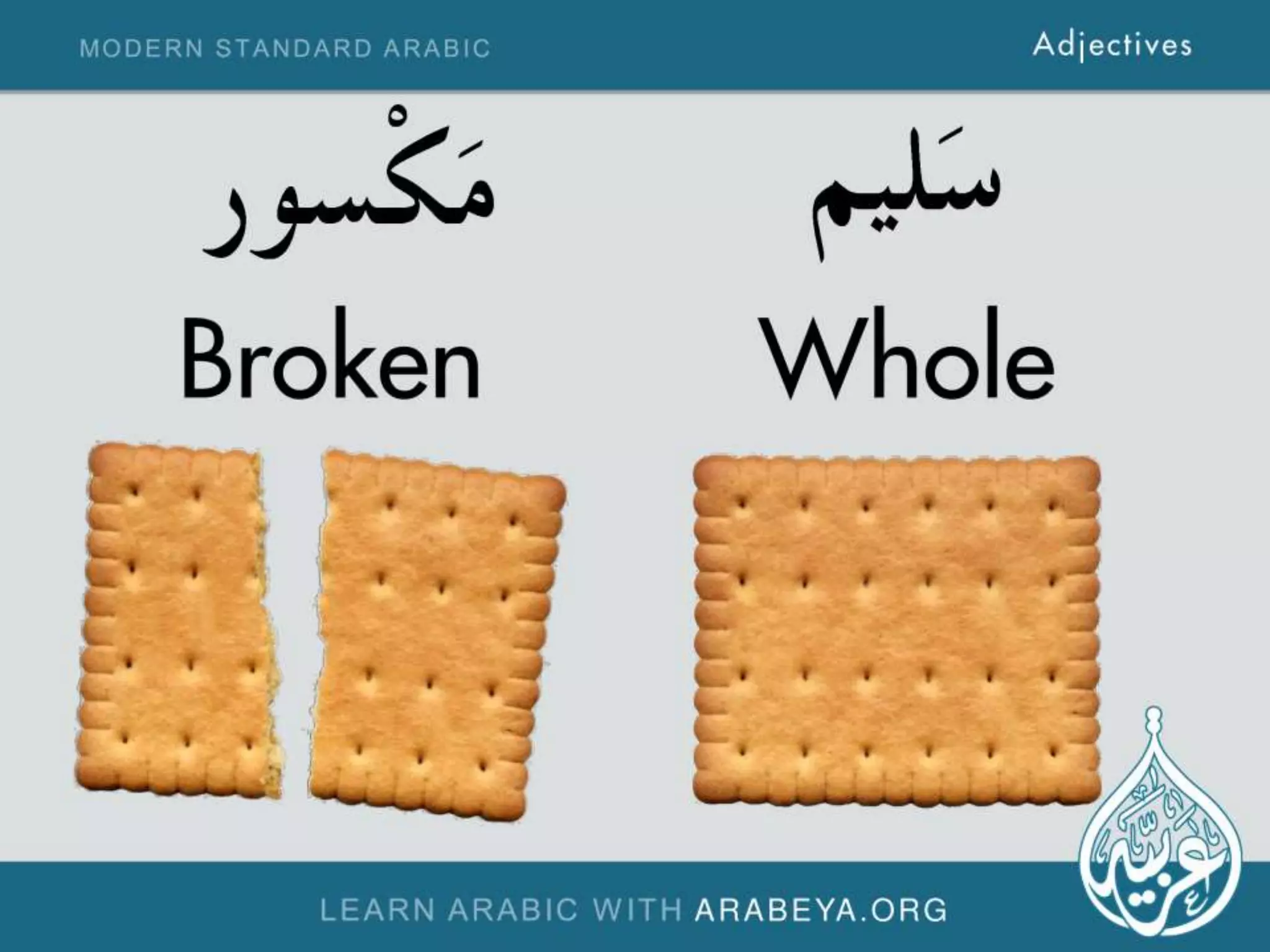 Adjectives in Modern Standard Arabic - | PPSX