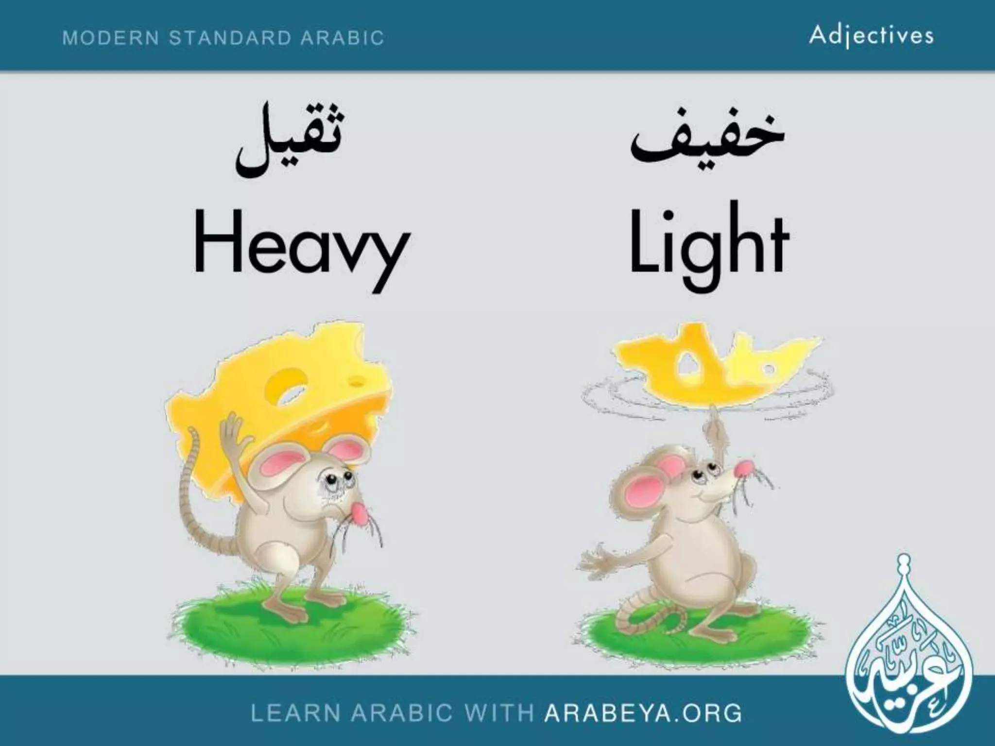 Adjectives in Modern Standard Arabic - | PPSX
