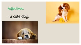 Adjectives | PPTX