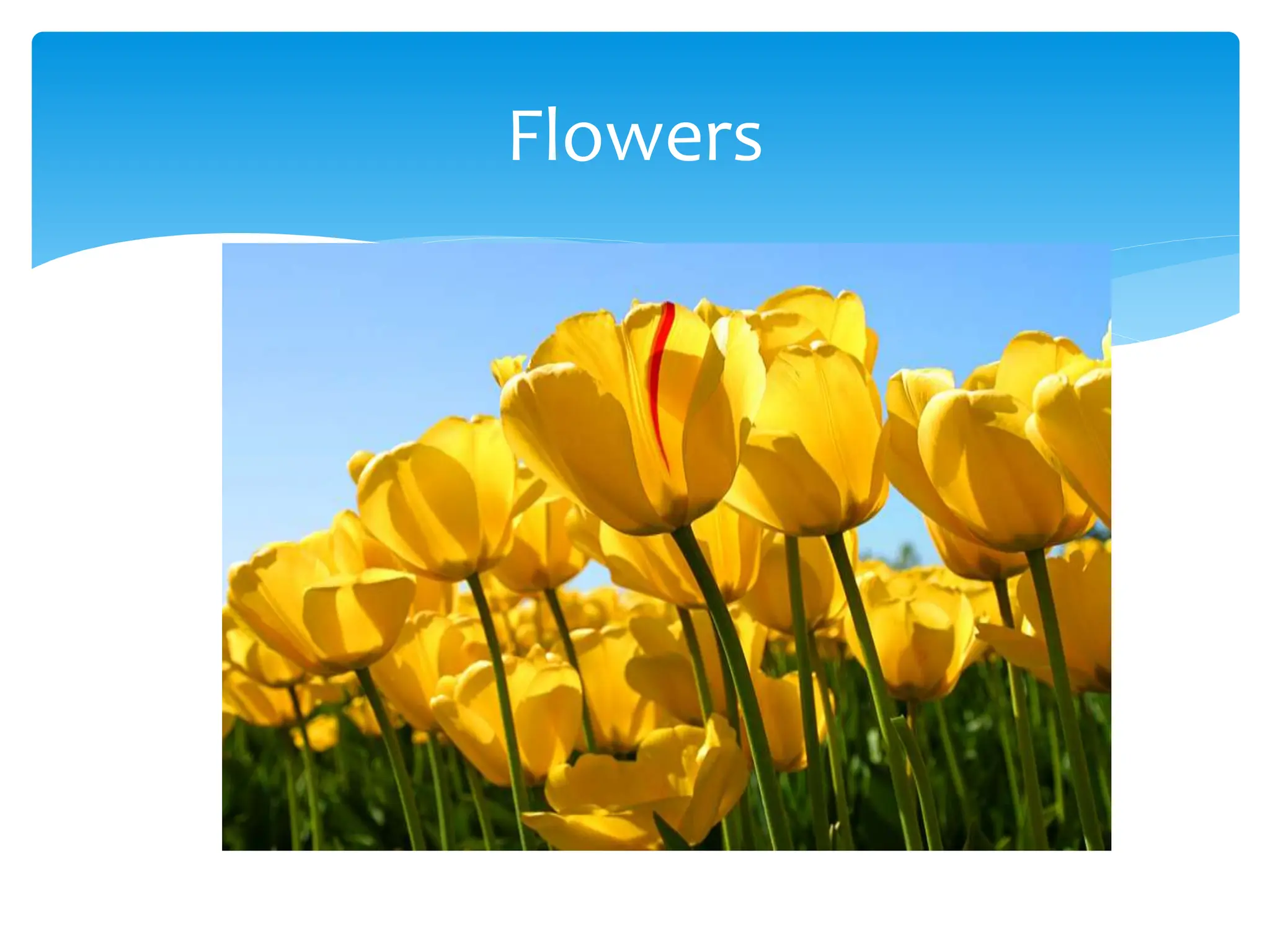 Adjectives PARTS OF SPEECH ADJECTIVES .pptx