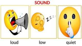Grade 1 English - Grammar Adjectives.pptx