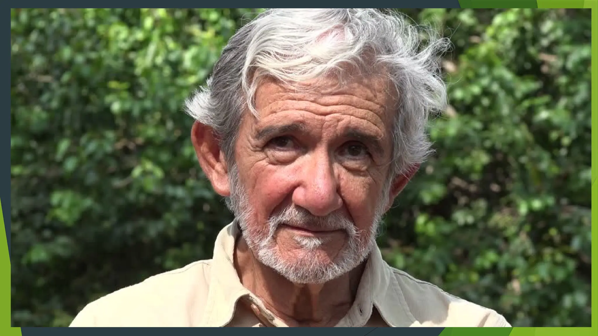 ADJECTIVES (English Grammar) Power Point | PPTX