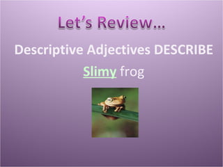 Look at Adjectives | PPT
