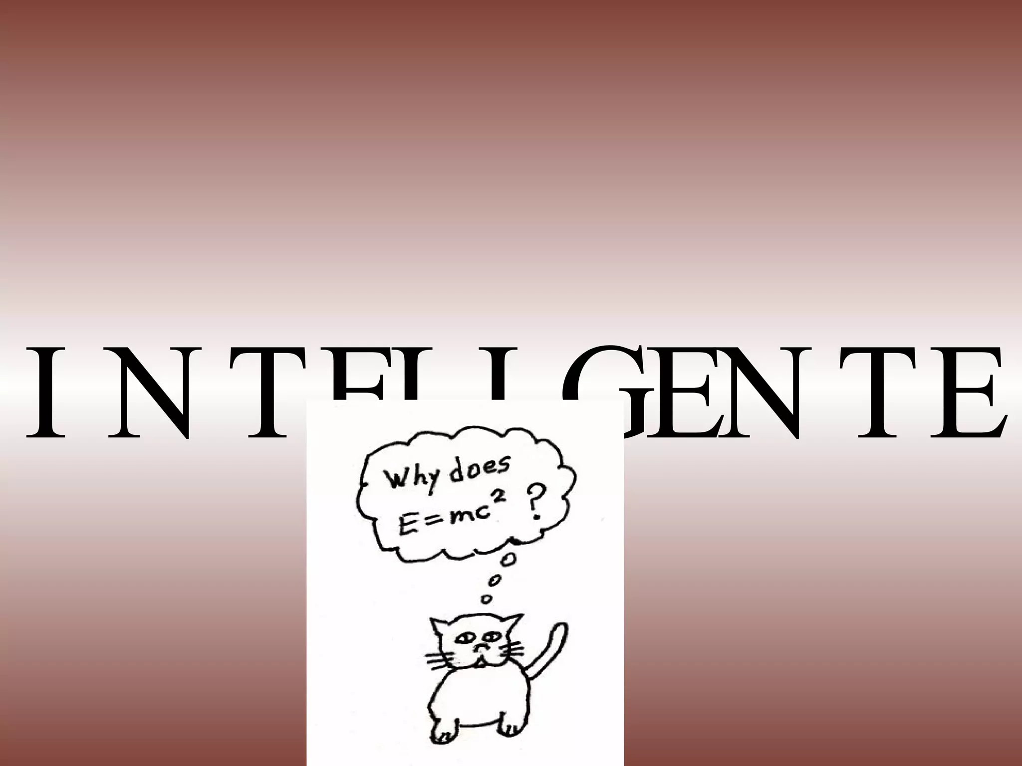 Spanish adjectives; los adjetivos | PPT