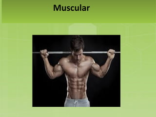 ADJECTIVES IN ENGLISH | PPT