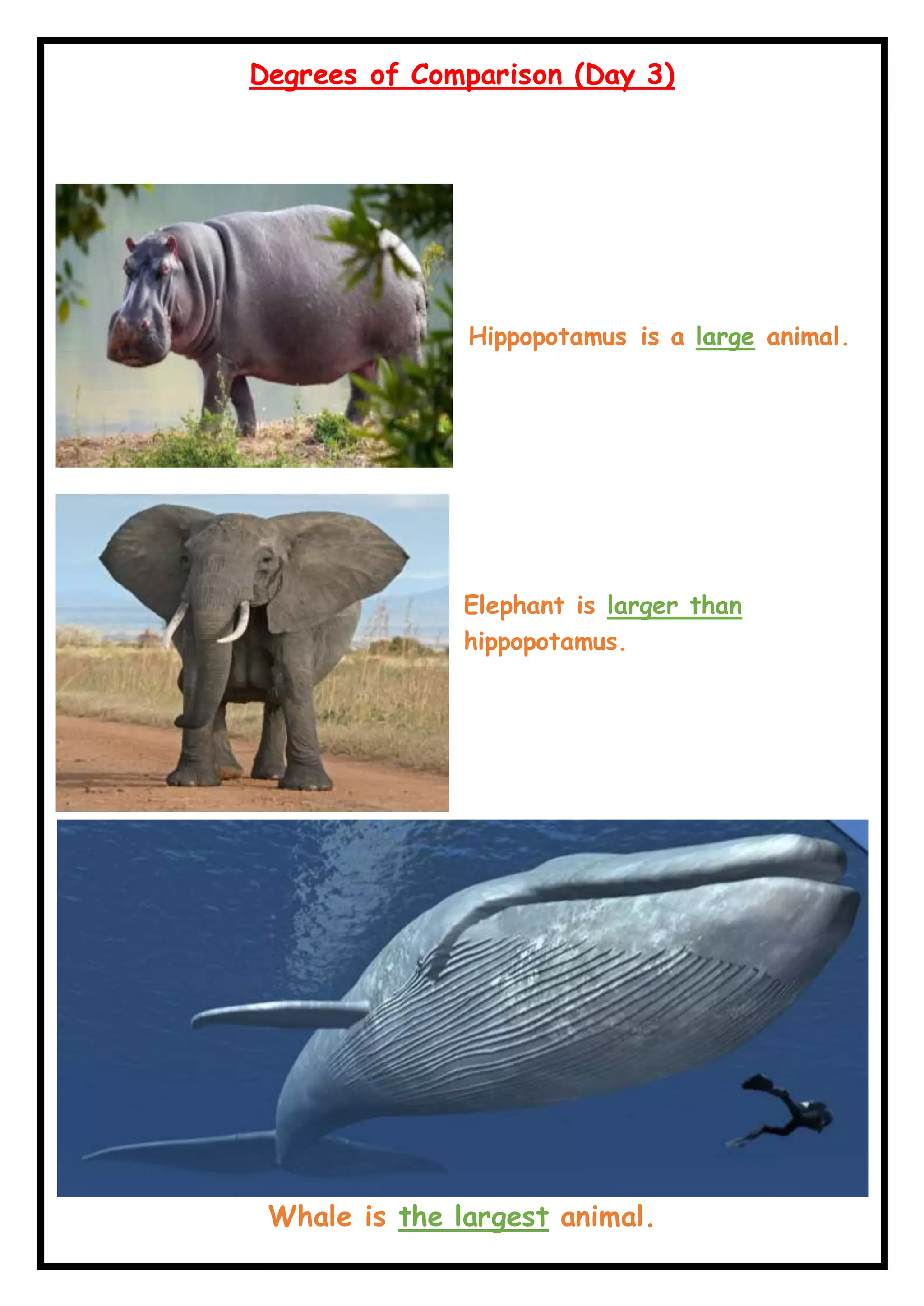 Adjectives and Degrees of Comparison- notes for Grade III to V | DOCX