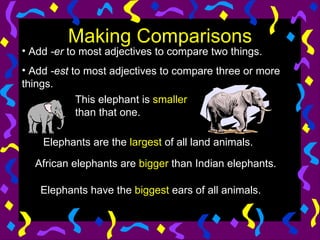 Adjectives that Compare Lesson 19 | PPT