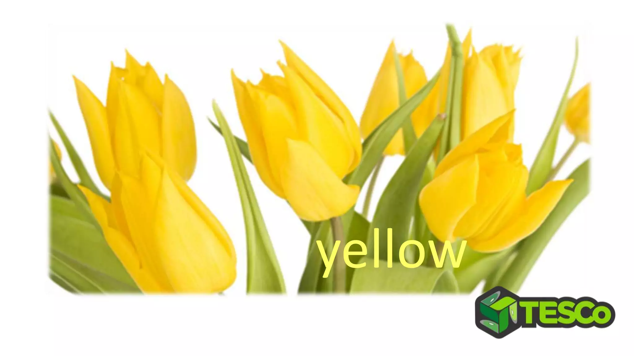 Adjectives colors | PPT