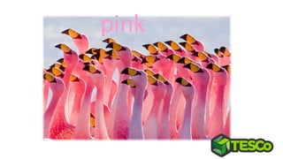 Adjectives colors | PPT