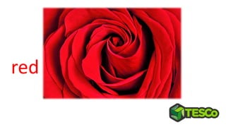 Adjectives colors | PPT