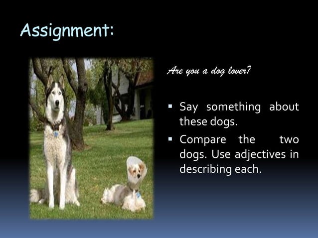 Adjectives (PPT) | PPTX