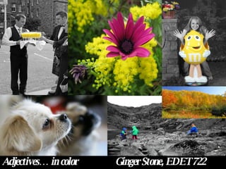 Adjectives...In Pictures | PPT | Photography | Arts and Crafts