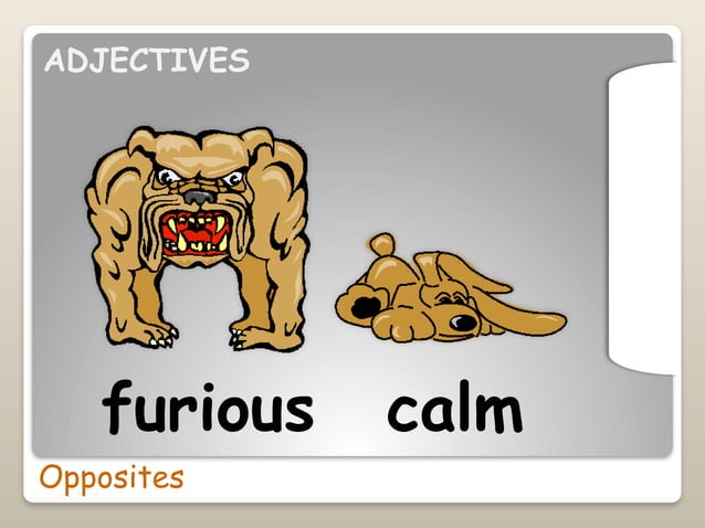 Adjectives PowerPoint; ILI MD; Grammar E2; Chapter 6; concept 6.8.pptx