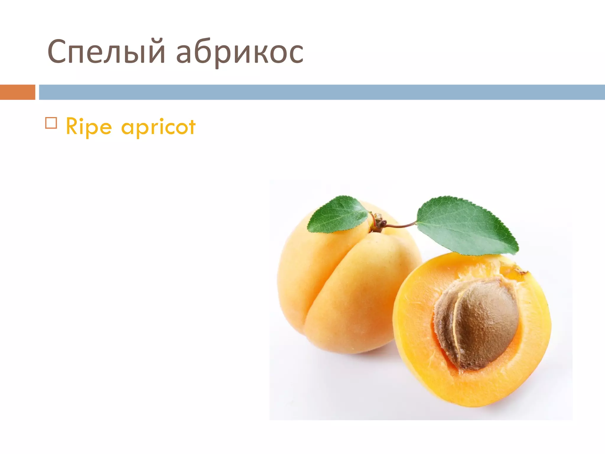 Basic Russian Adjectives (Part 1) | PPT