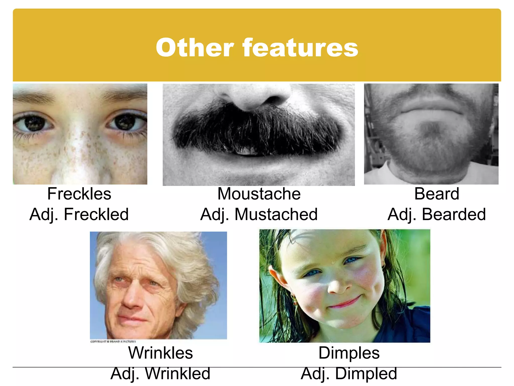 Adjectives to describe people | PPTX