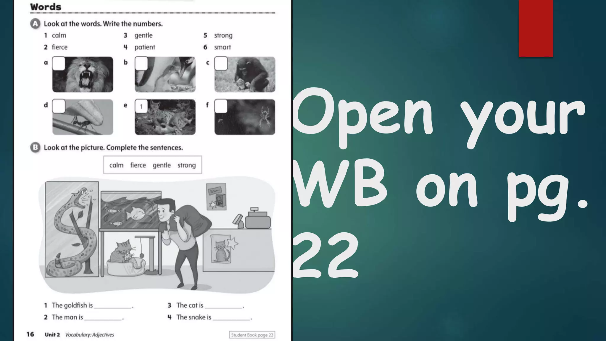 adjectives words .pptx